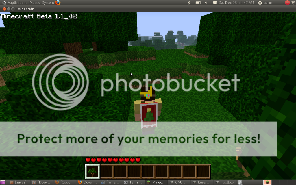 Christmas Cape [PICS] - Survival Mode - Minecraft: Java Edition ...