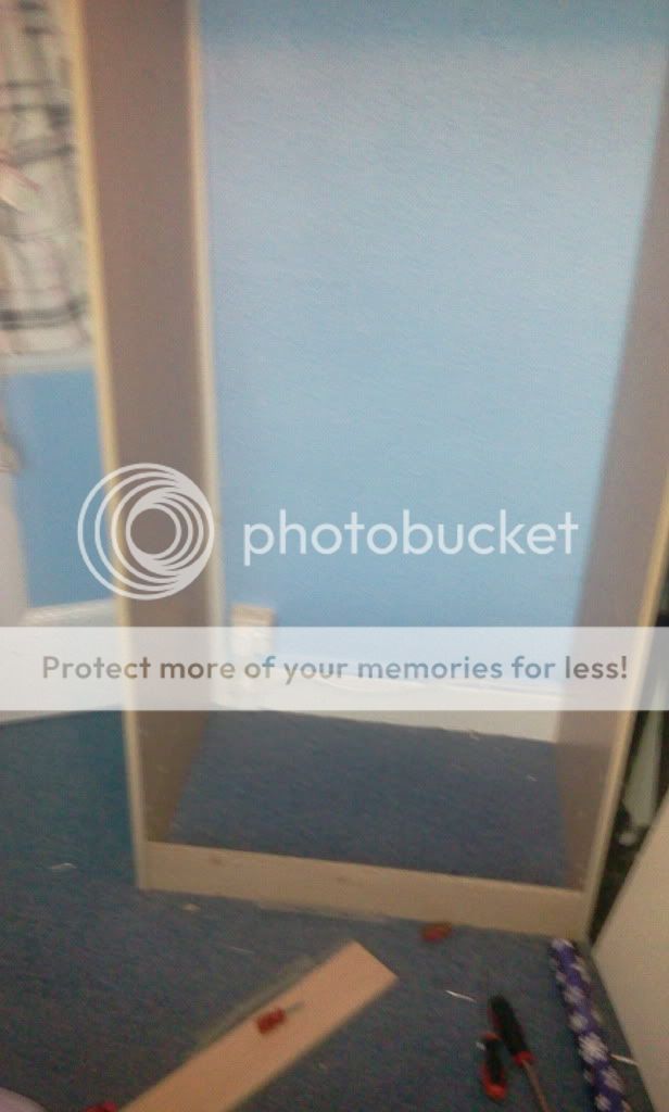 process of first viv build. | Reptile Forums